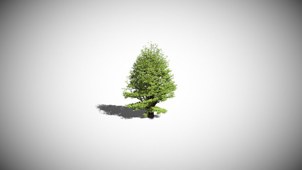 Procedural tree generator tool - we'd love some feedback from you ...